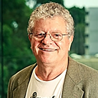 Emeritus Professor David Brown